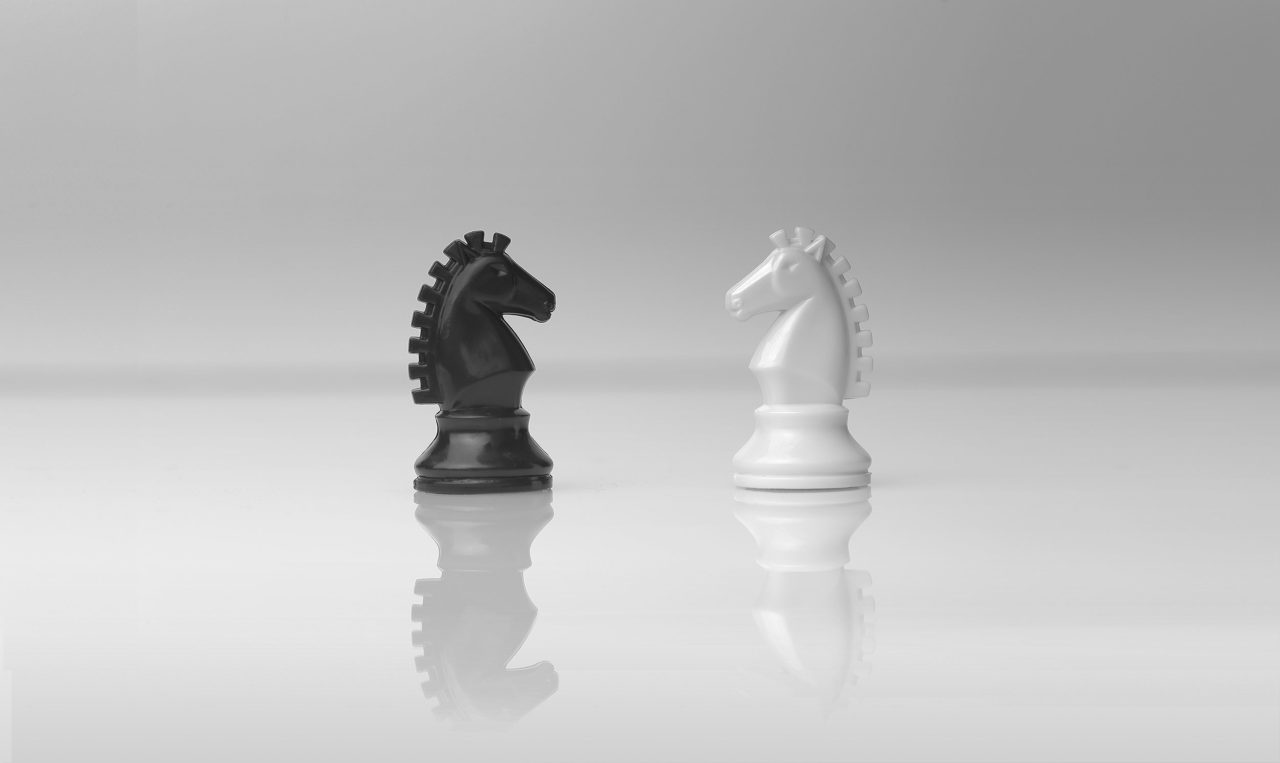 Eleven - Conseil en Stratégie Digital et Data